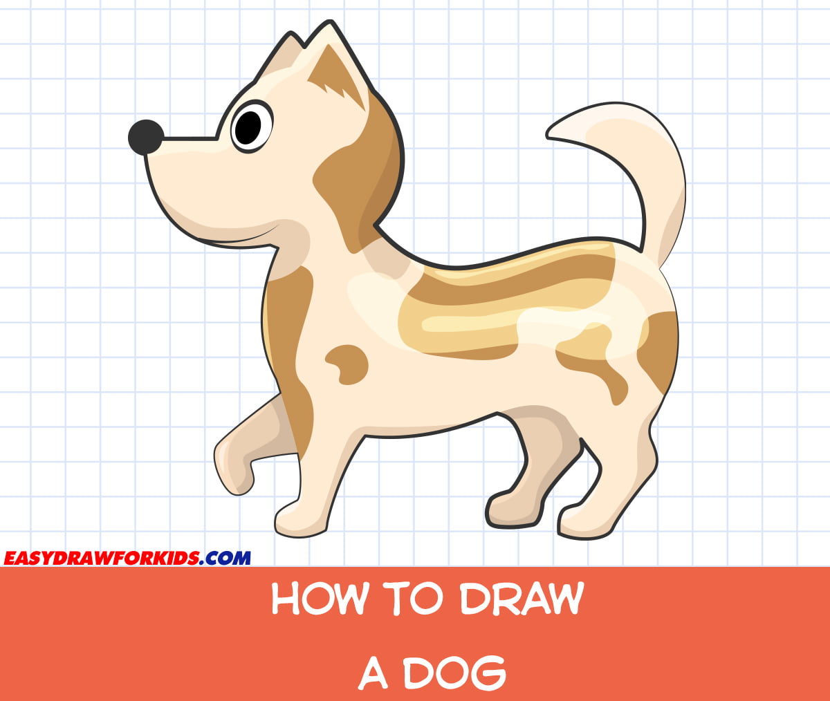 Drawing Tutorials - Easy Draw For Kids