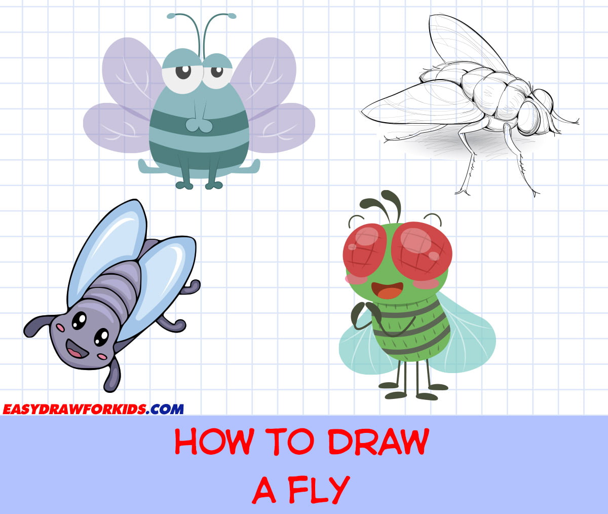 How To Draw A Fly - 4 Ways (With Pictures)