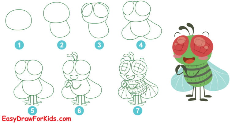 How To Draw A Fly - 4 Ways (With Pictures)