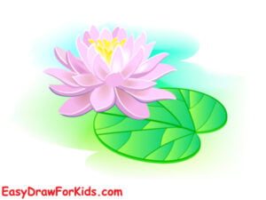 How To Draw A Lotus Flower - 2 Ways (With Pictures)