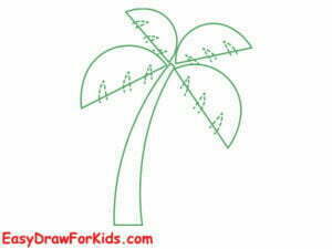 How To Draw A Coconut Tree - 7 Steps (With Pictures)