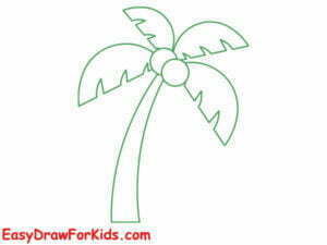 How To Draw A Coconut Tree - 7 Steps (With Pictures)