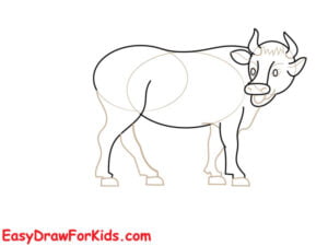How To Draw A Cow - 7 Ways (With Pictures)