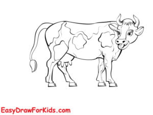 How To Draw A Cow - 7 Ways (With Pictures)