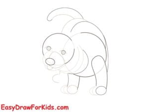 How To Draw A Dog - 8 Ways (With Pictures)