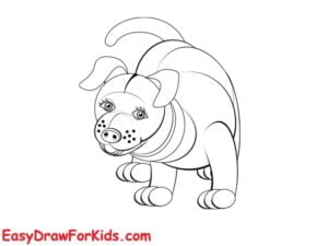 How To Draw A Dog - 8 Ways (With Pictures)