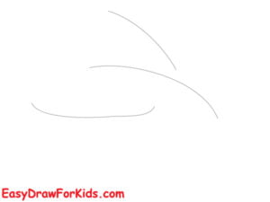 How To Draw A Fly - 4 Ways (With Pictures)