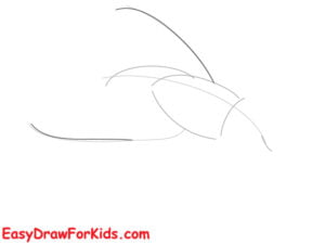 How To Draw A Fly - 4 Ways (With Pictures)