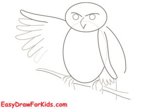 How To Draw An Owl - 7 Ways (With Pictures)