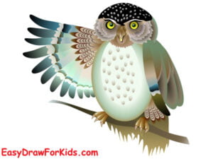 How To Draw An Owl - 7 Ways (With Pictures)