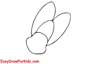 How To Draw A Fly - 4 Ways (With Pictures)