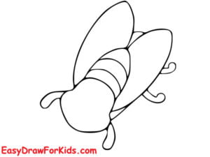 How To Draw A Fly - 4 Ways (With Pictures)