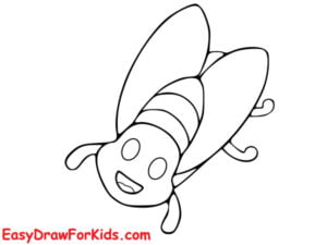 How To Draw A Fly - 4 Ways (With Pictures)