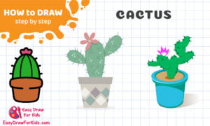 How To Draw A Cactus - 3 Ways (With Pictures)