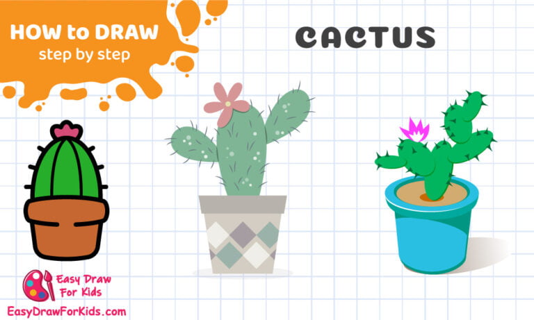 How To Draw A Cactus - 3 Ways (With Pictures)