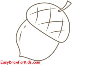 How To Draw An Acorn - 3 Ways (With Pictures)