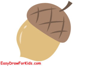 How To Draw An Acorn - 3 Ways (With Pictures)