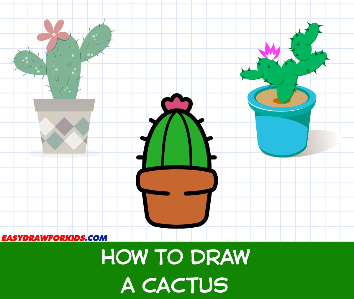 How To Draw A Cactus - 3 Ways (With Pictures)