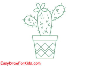 How To Draw A Cactus - 3 Ways (With Pictures)