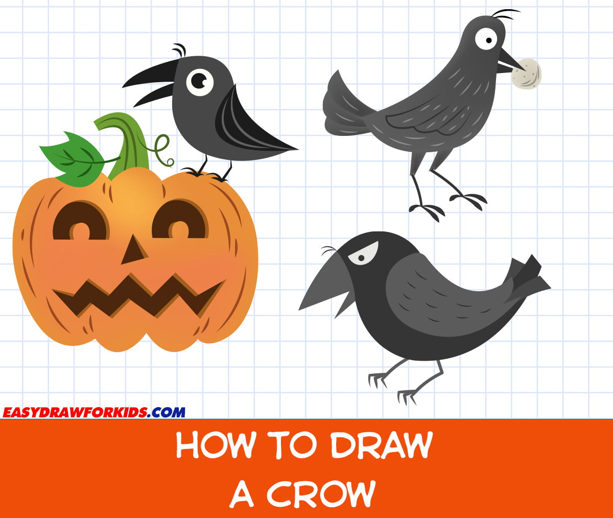 How To Draw A Crow - 3 Steps (With Pictures)