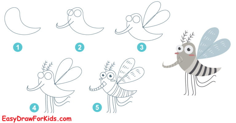 How To Draw A Mosquito - 4 Ways (With Pictures)