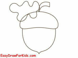 How To Draw An Acorn - 3 Ways (With Pictures)
