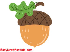 How To Draw An Acorn - 3 Ways (With Pictures)