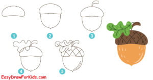 How To Draw An Acorn - 3 Ways (With Pictures)