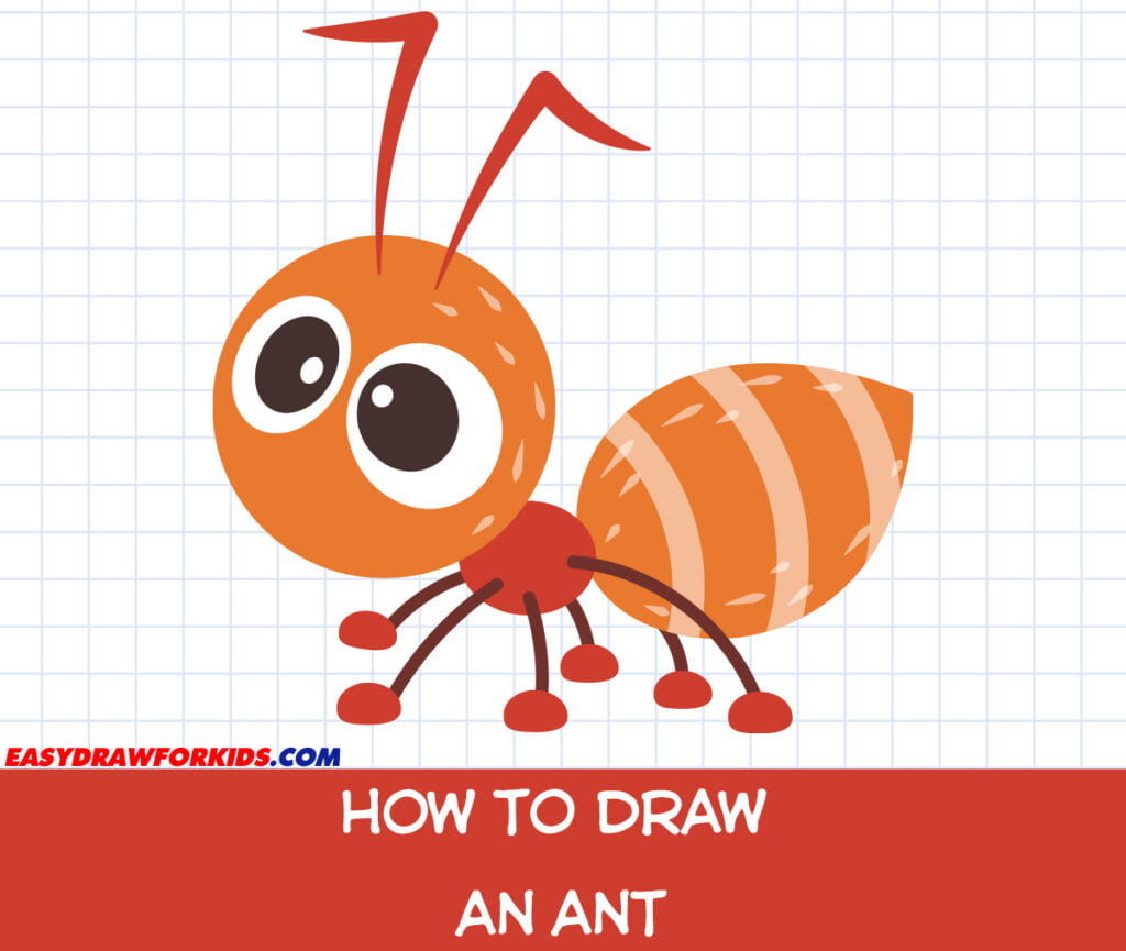 Easy Draw For Kids - Drawing Tutorials For Kids And Beginners