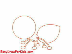 How To Draw An Ant - 5 Ways (With Pictures)