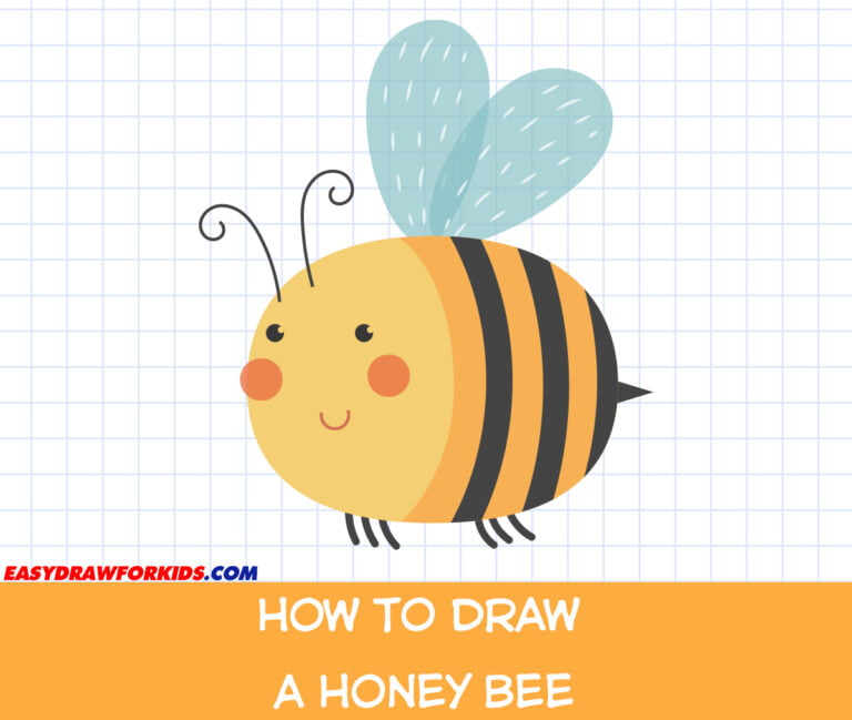 How To Draw A Honey Bee - Easy Draw For Kids