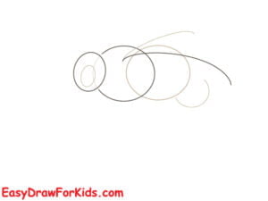 How To Draw A Bee - 7 Ways (With Pictures)