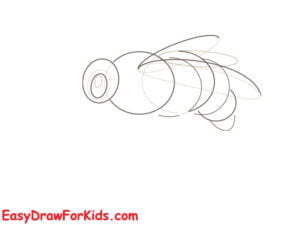 How To Draw A Bee - 7 Ways (With Pictures)