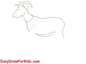 How To Draw A Goat - 4 Ways (With Pictures)