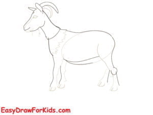How To Draw A Goat - 4 Ways (With Pictures)
