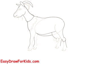 How To Draw A Goat - 4 Ways (With Pictures)