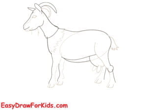 How To Draw A Goat - 4 Ways (With Pictures)