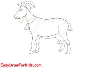 How To Draw A Goat - 4 Ways (With Pictures)