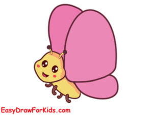 How To Draw A Butterfly – 5 Ways (With Pictures)