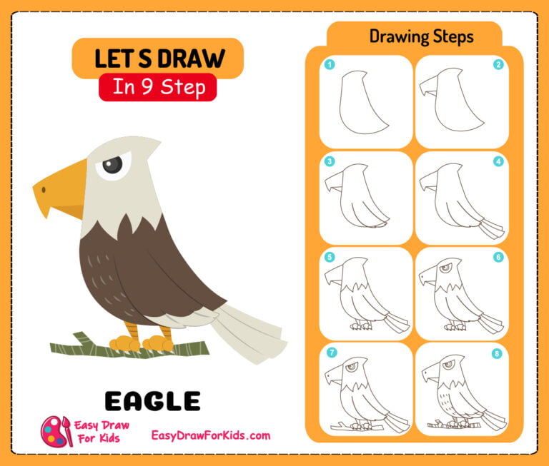 How To Draw An Eagle - 4 Ways (With Pictures)