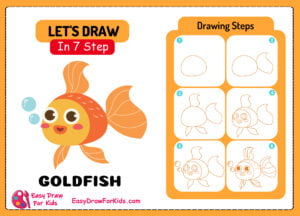How To Draw A Goldfish - 7 Steps (With Pictures)