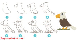 How To Draw An Eagle - 4 Ways (With Pictures)