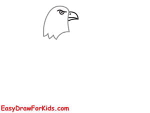 How To Draw An Eagle - 4 Ways (With Pictures)