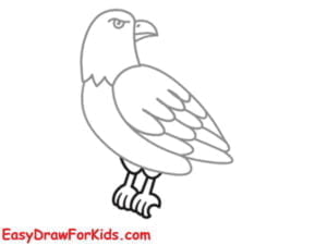 How To Draw An Eagle - 4 Ways (With Pictures)