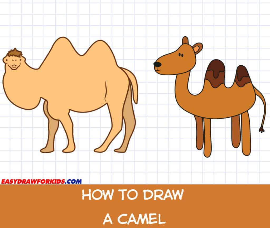 Easy Draw For Kids - Drawing Tutorials For Kids And Beginners