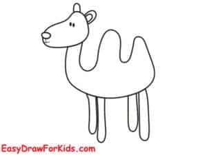 How To Draw A Camel – 2 Ways (With Pictures)