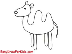 How To Draw A Camel – 2 Ways (With Pictures)