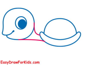How To Draw A Turtle – 6 Ways (With Pictures)