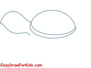 How To Draw A Turtle – 6 Ways (With Pictures)