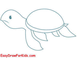 How To Draw A Turtle – 6 Ways (With Pictures)